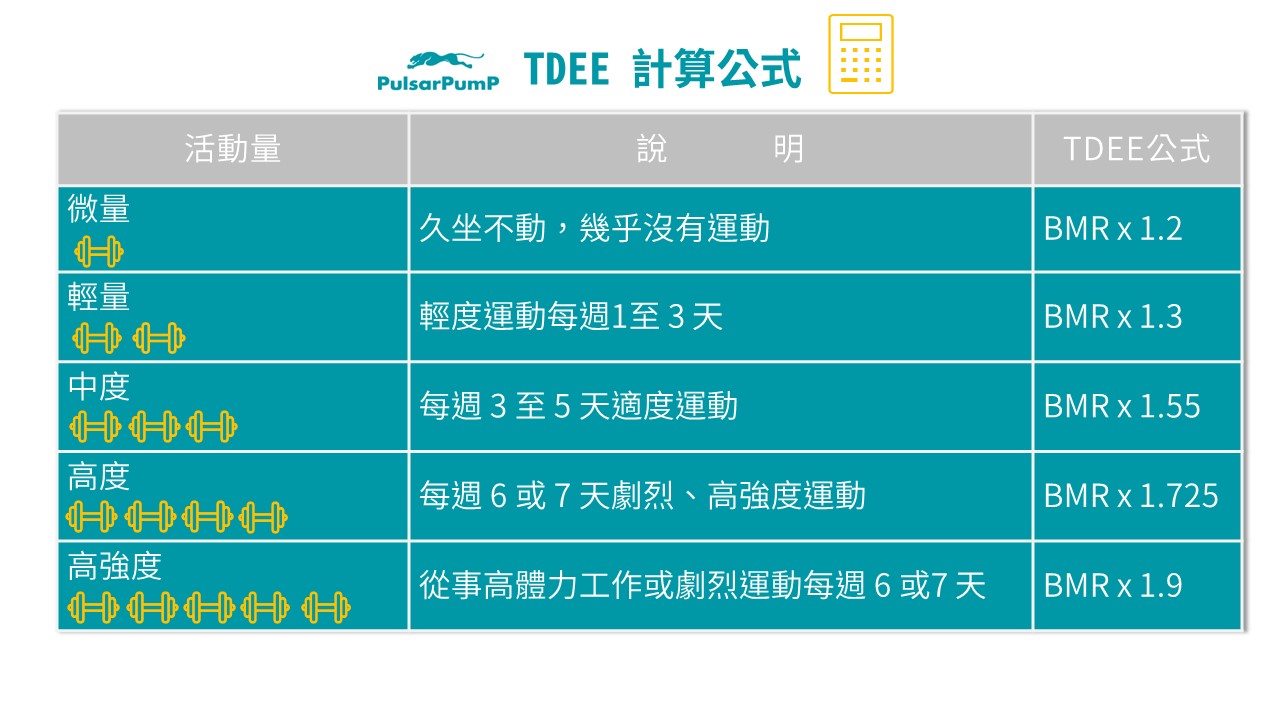 計算TDEE(總熱量消耗)與BMR(基礎代謝) - pulsarpump 脈衝星